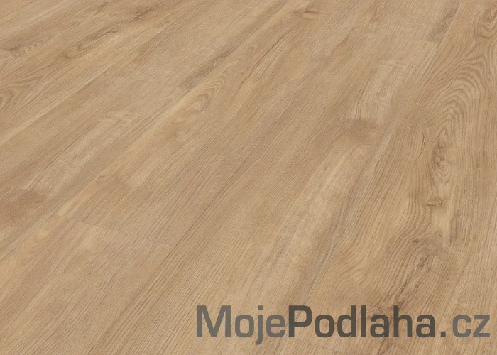 Vinylová podlaha lepená Floor Forever Dub Karamelový